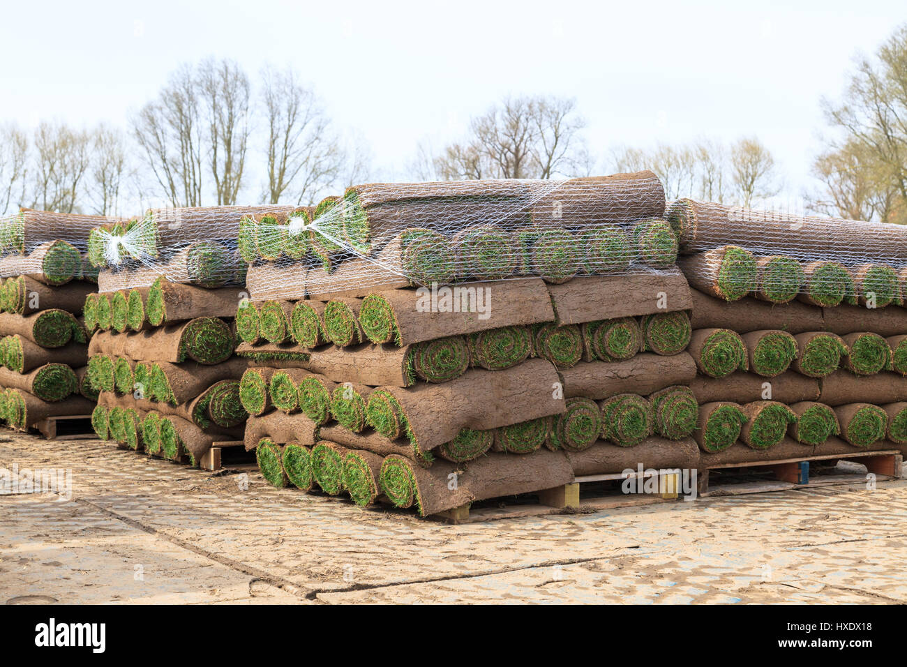 Commercial production rolls of turf grass fields, kent, uk Stock Photo ...