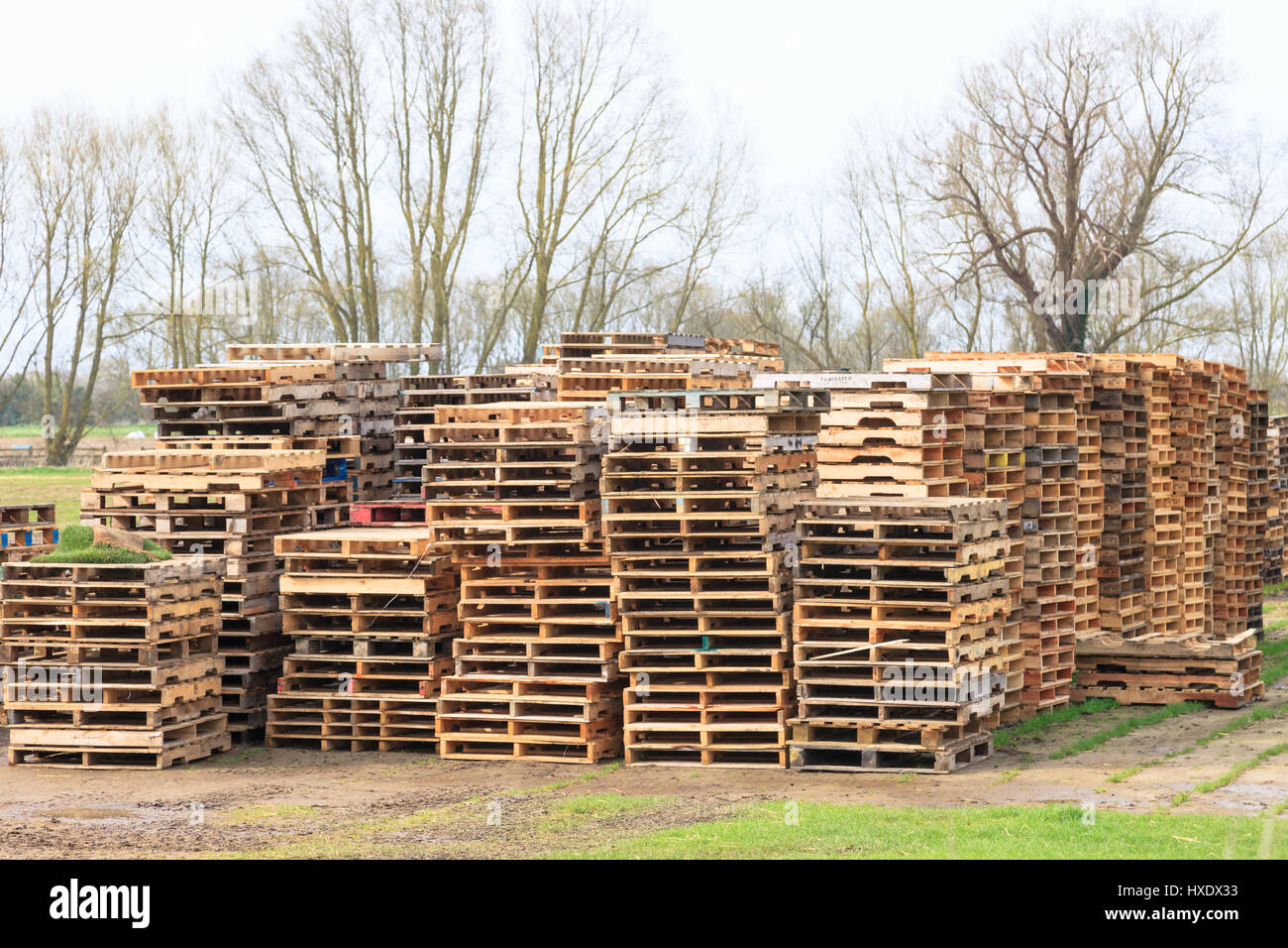 Commercial production rolls of turf grass fields, kent, uk Stock Photo ...