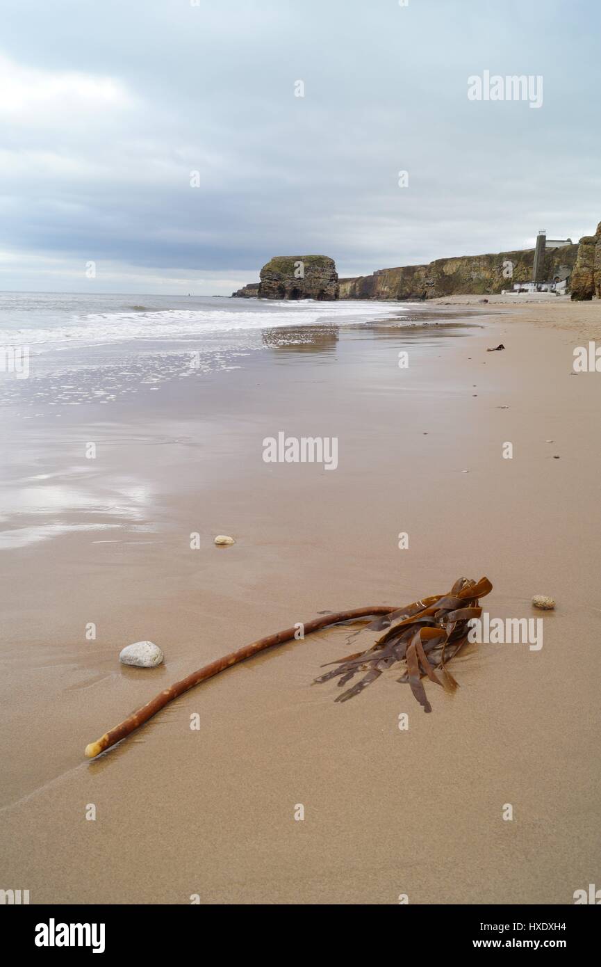 marsden beach ,marsden grotto south shields Stock Photo - Alamy