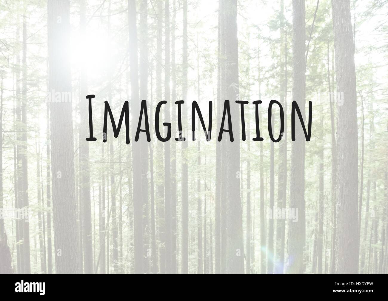 Digital composite of Imagination text with forest Stock Photo - Alamy