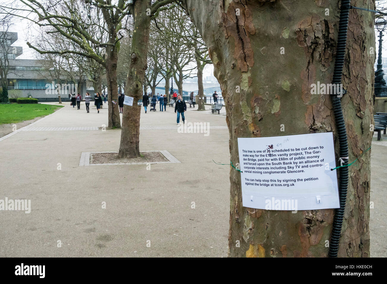 Trees Endangered Threatened Protest Southbank South Bank Notice London ...