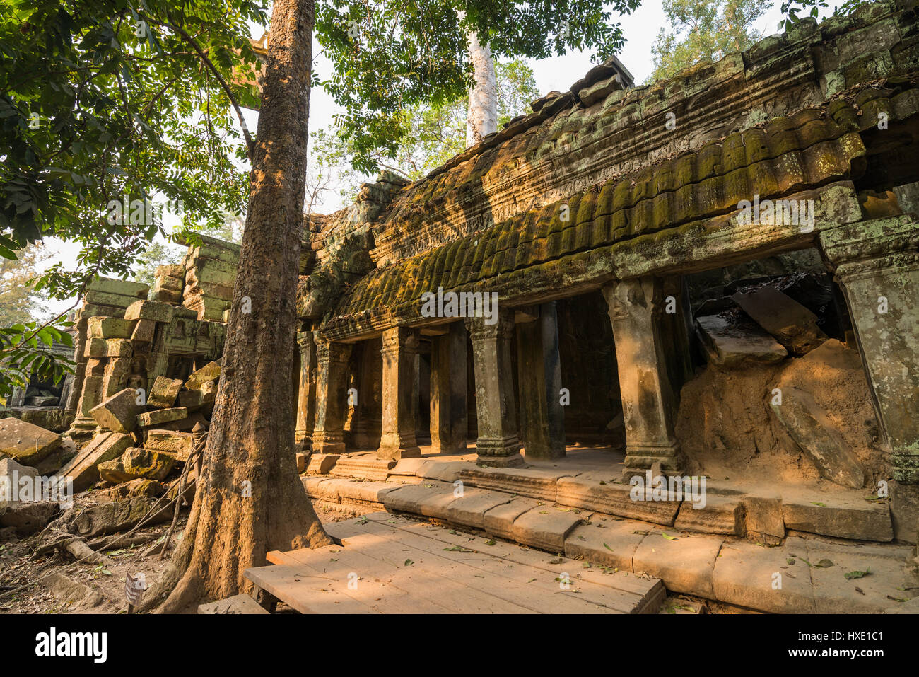 Ta Prohm Temple, Angkor, Cambodia, Asia Stock Photo - Alamy