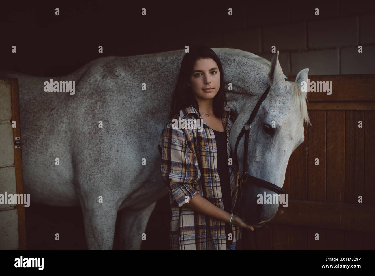 Stable connection hi-res stock photography and images - Alamy