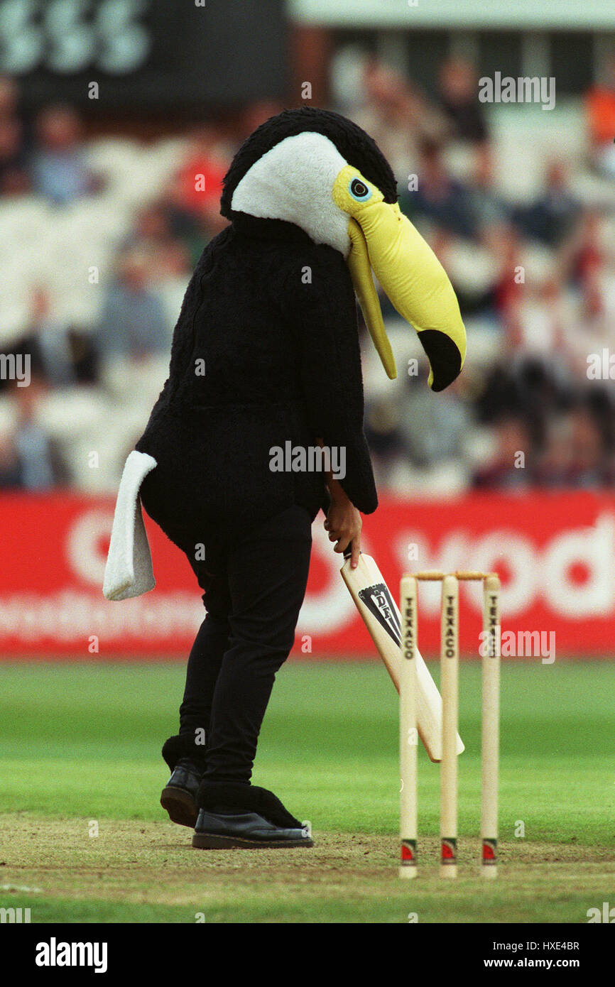 PENGUIN PITCH INVADER ENGLAND V SOUTH AFRICA 27 May 1998 Stock Photo ...