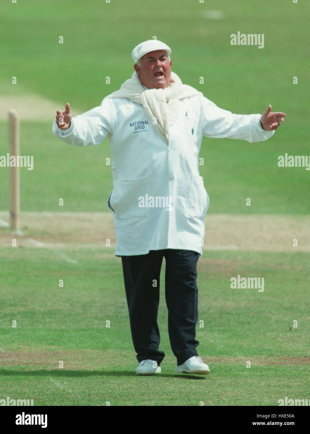 David shepherd hi-res stock photography and images - Alamy