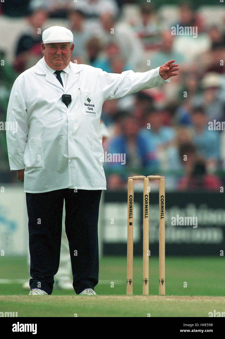 David shepherd hi-res stock photography and images - Alamy