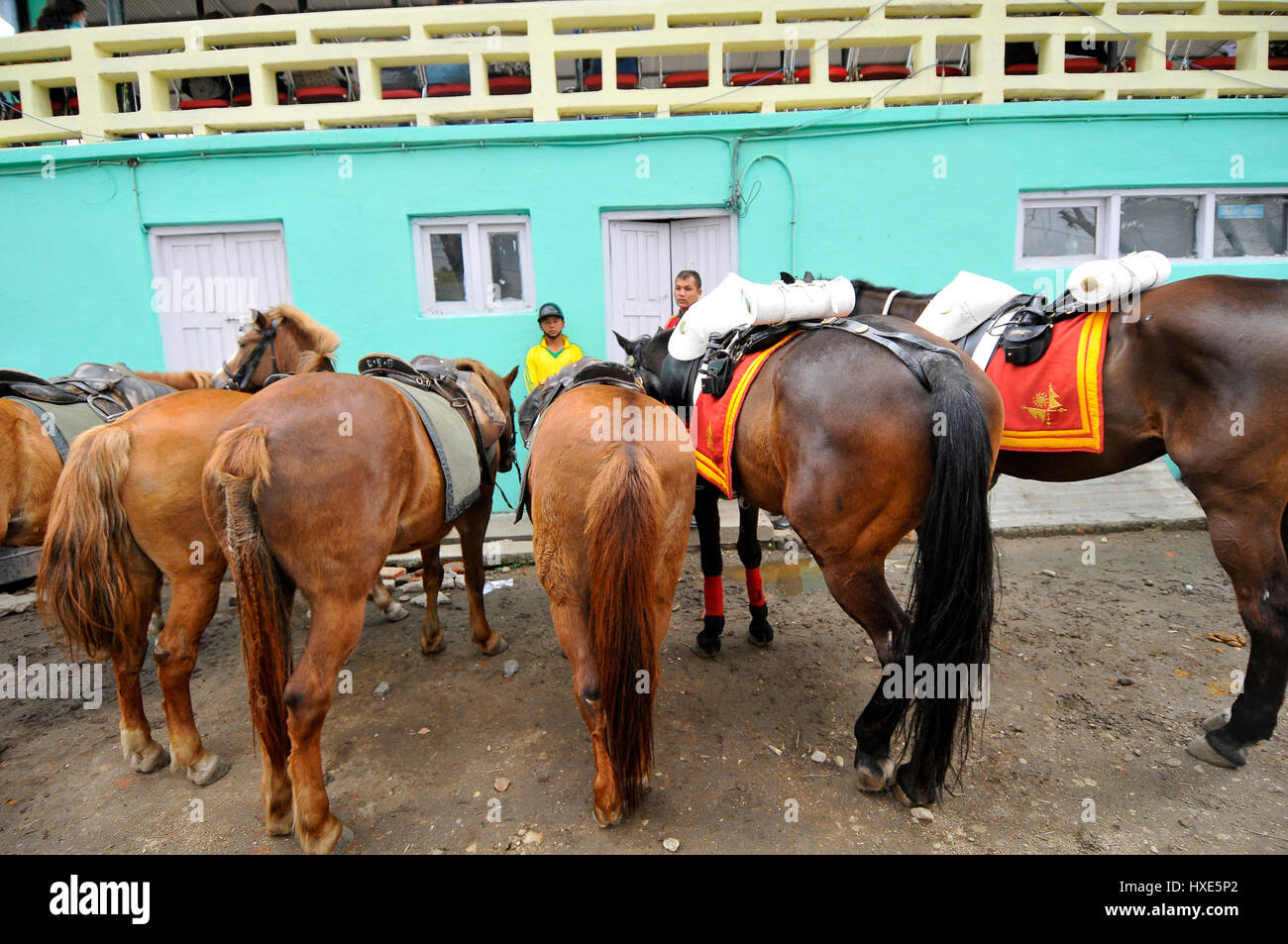 Nepalese army horse cavalry parade hi-res stock photography and images ...