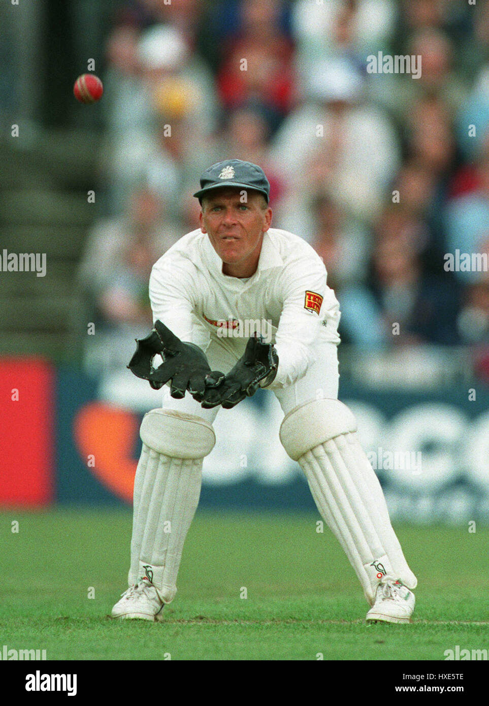 ALEC STEWART ENGLAND & SURREY CCC 25 May 1993 Stock Photo - Alamy