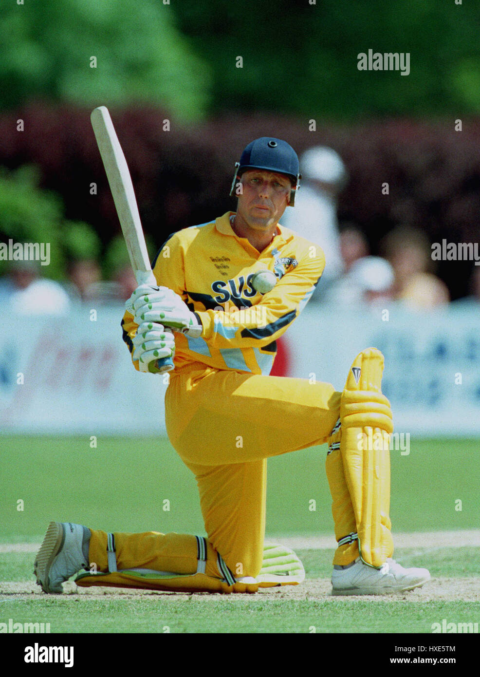 David m hi-res stock photography and images - Alamy