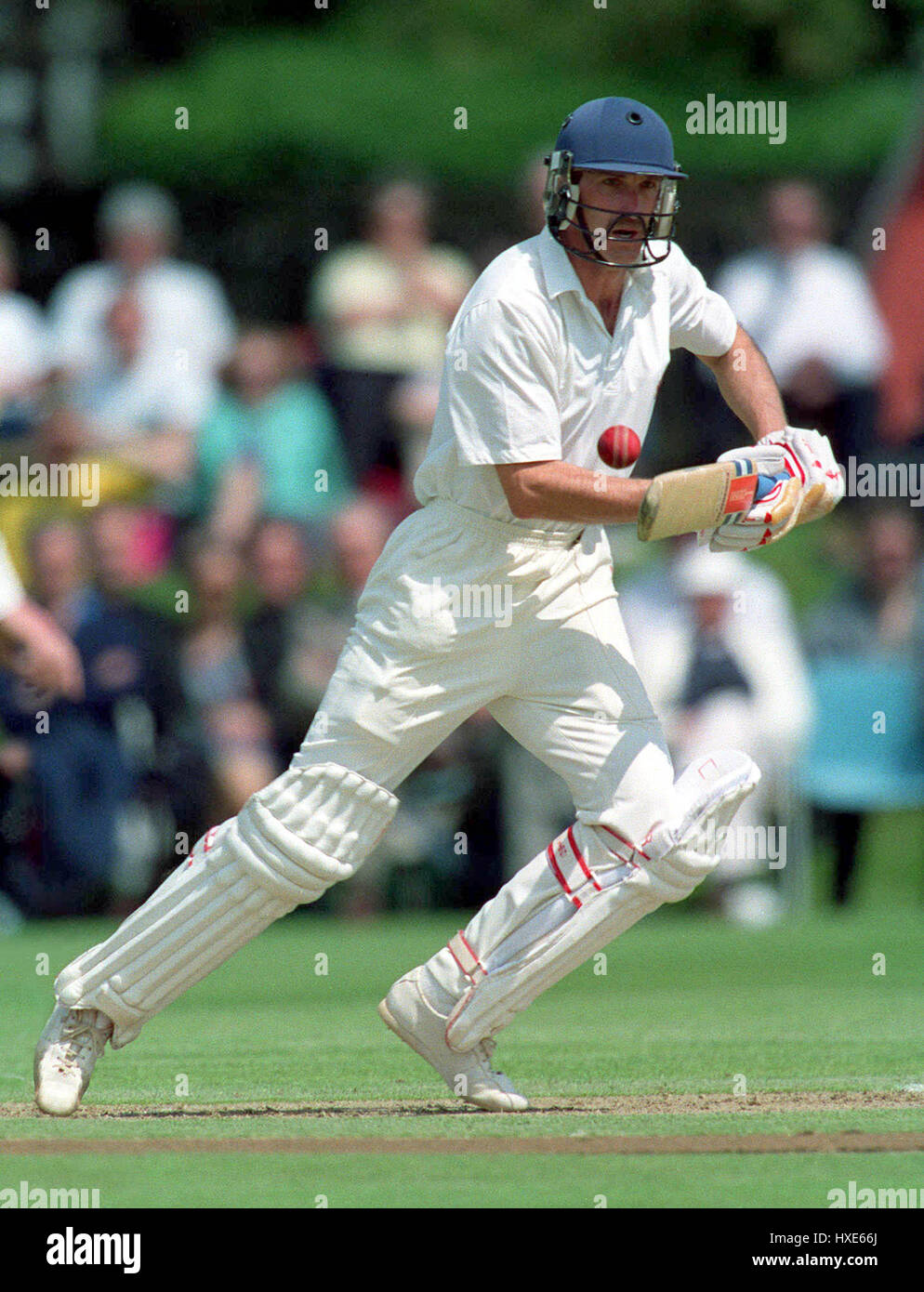 Tavare hi-res stock photography and images - Alamy