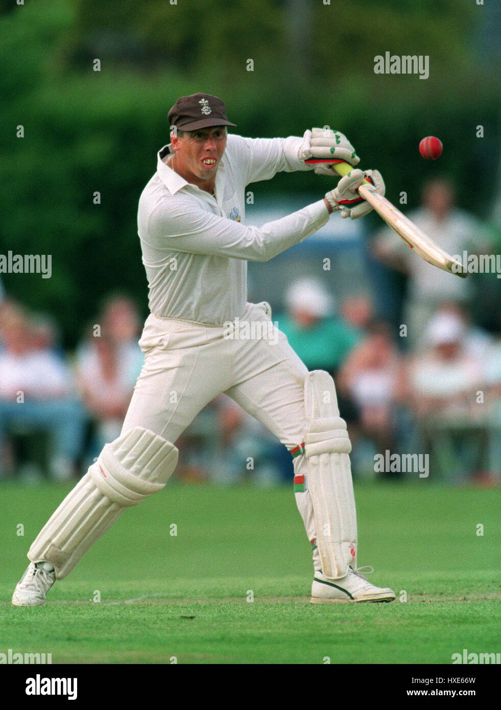 DAVID WARD . SURREY CCC 20 January 1992 Stock Photo - Alamy