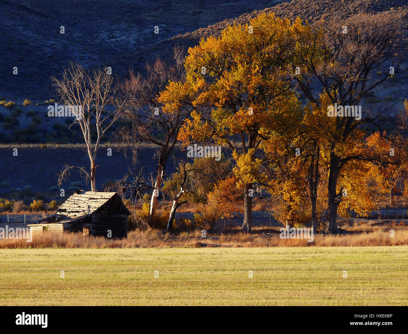 Rundown building in an autumn landscape Stock Photo - Alamy