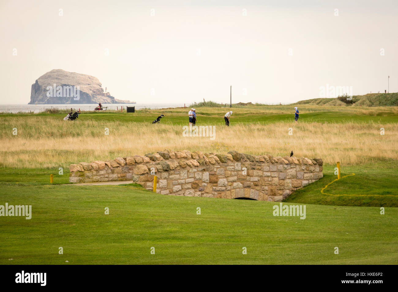 West Links Golf Course, North Berwick, Scotland Stock Photo - Alamy