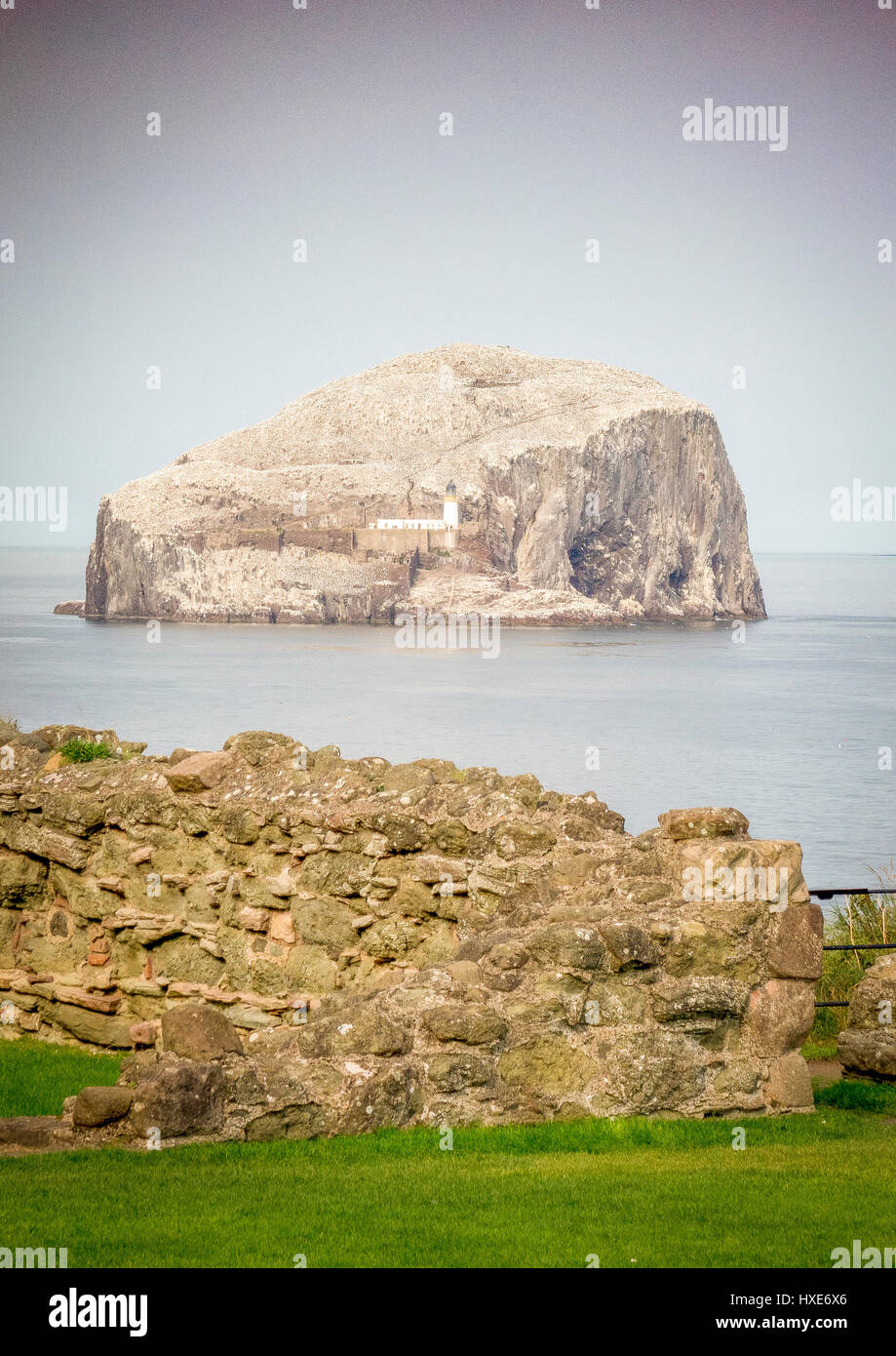 Bass lighthouse east coast hi-res stock photography and images - Alamy