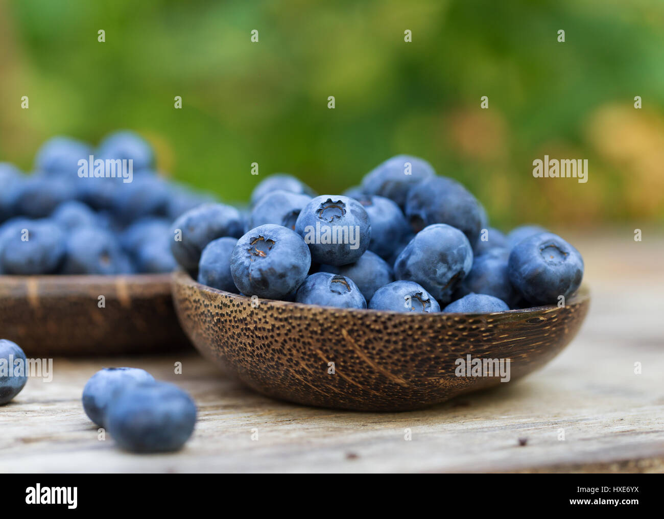 Fresh blueberries in summer garden Stock Photo - Alamy