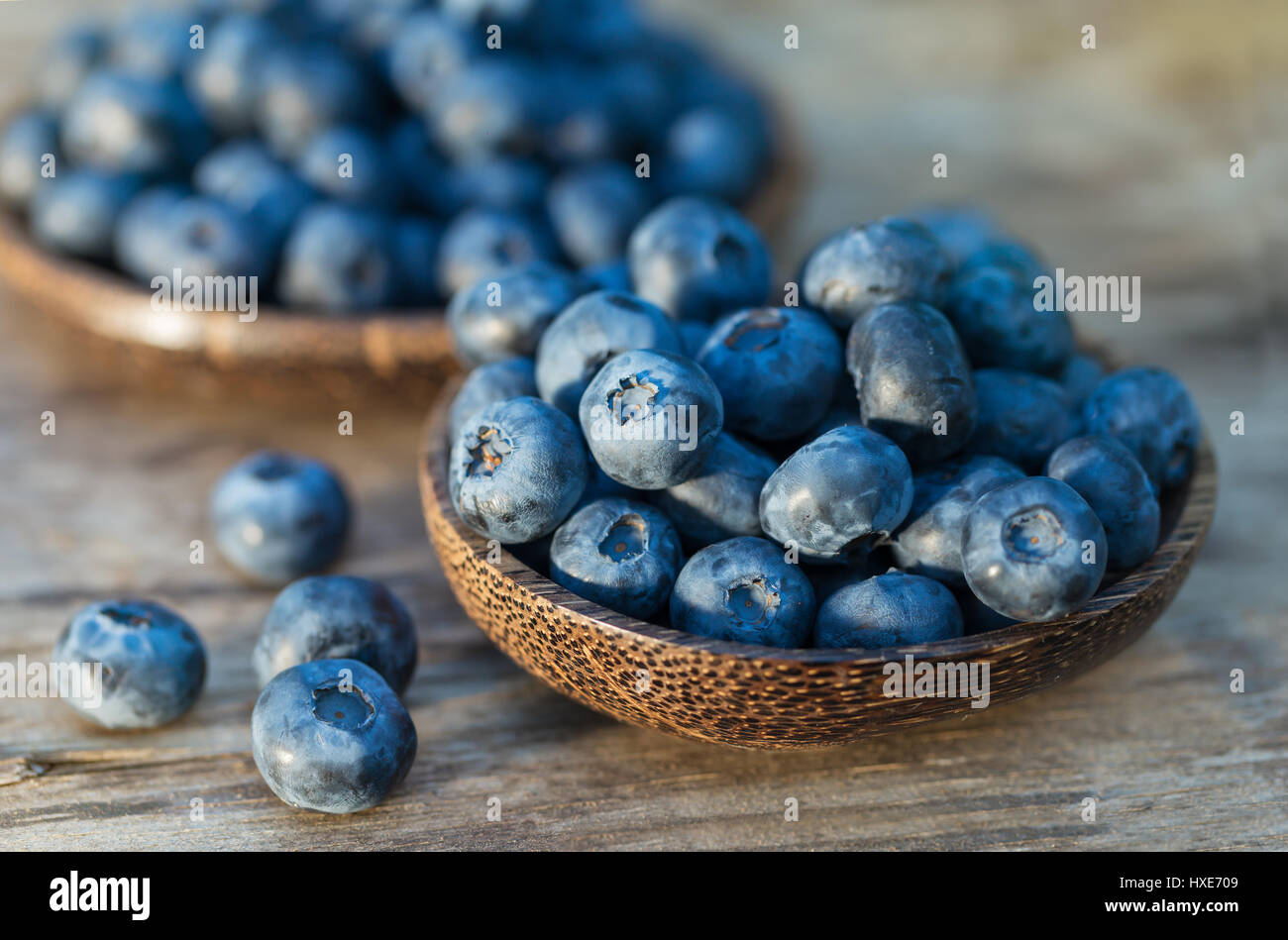 Fresh blueberries in summer garden Stock Photo - Alamy