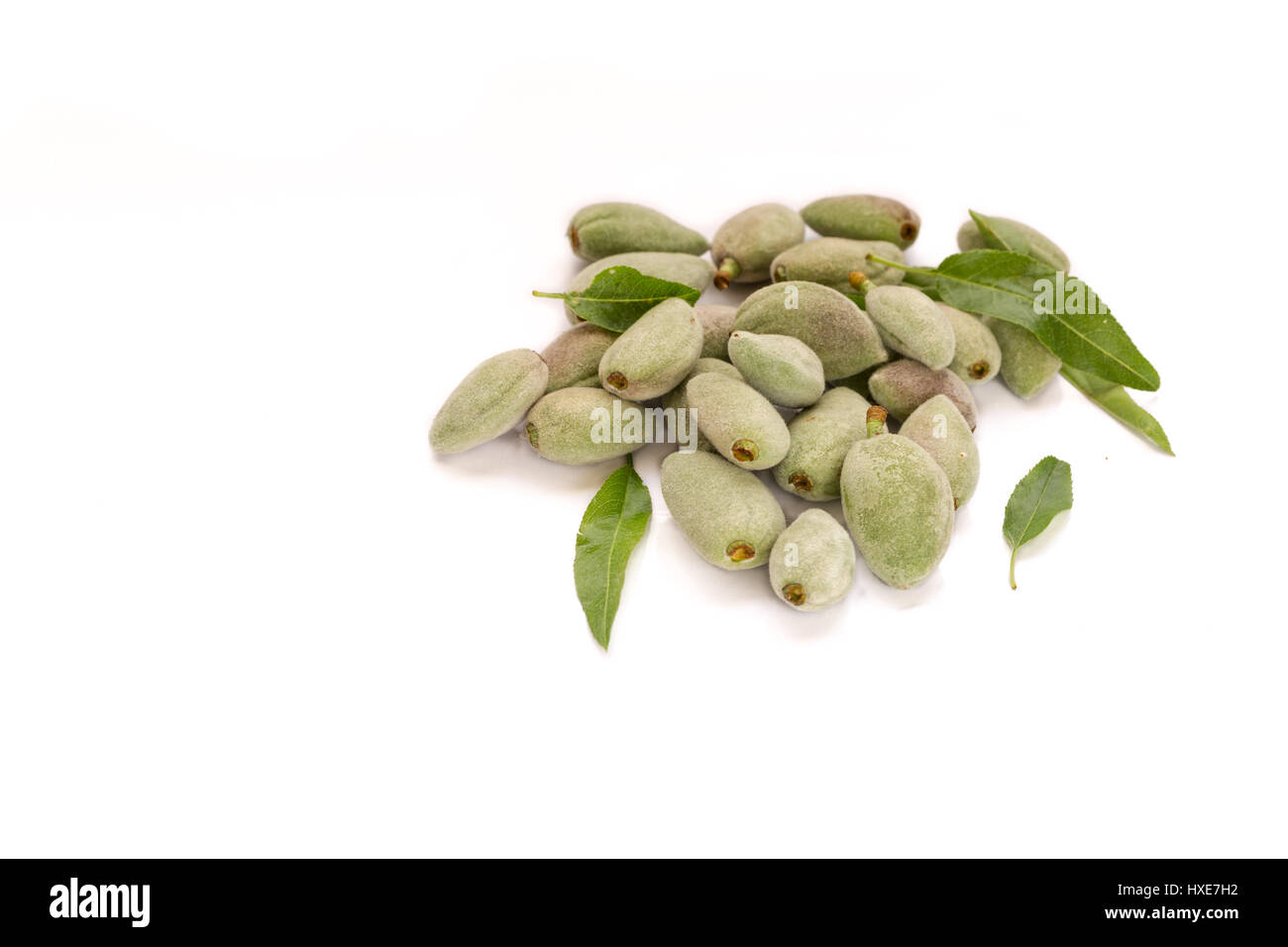 Fresh unripe almonds on pure white background Stock Photo - Alamy