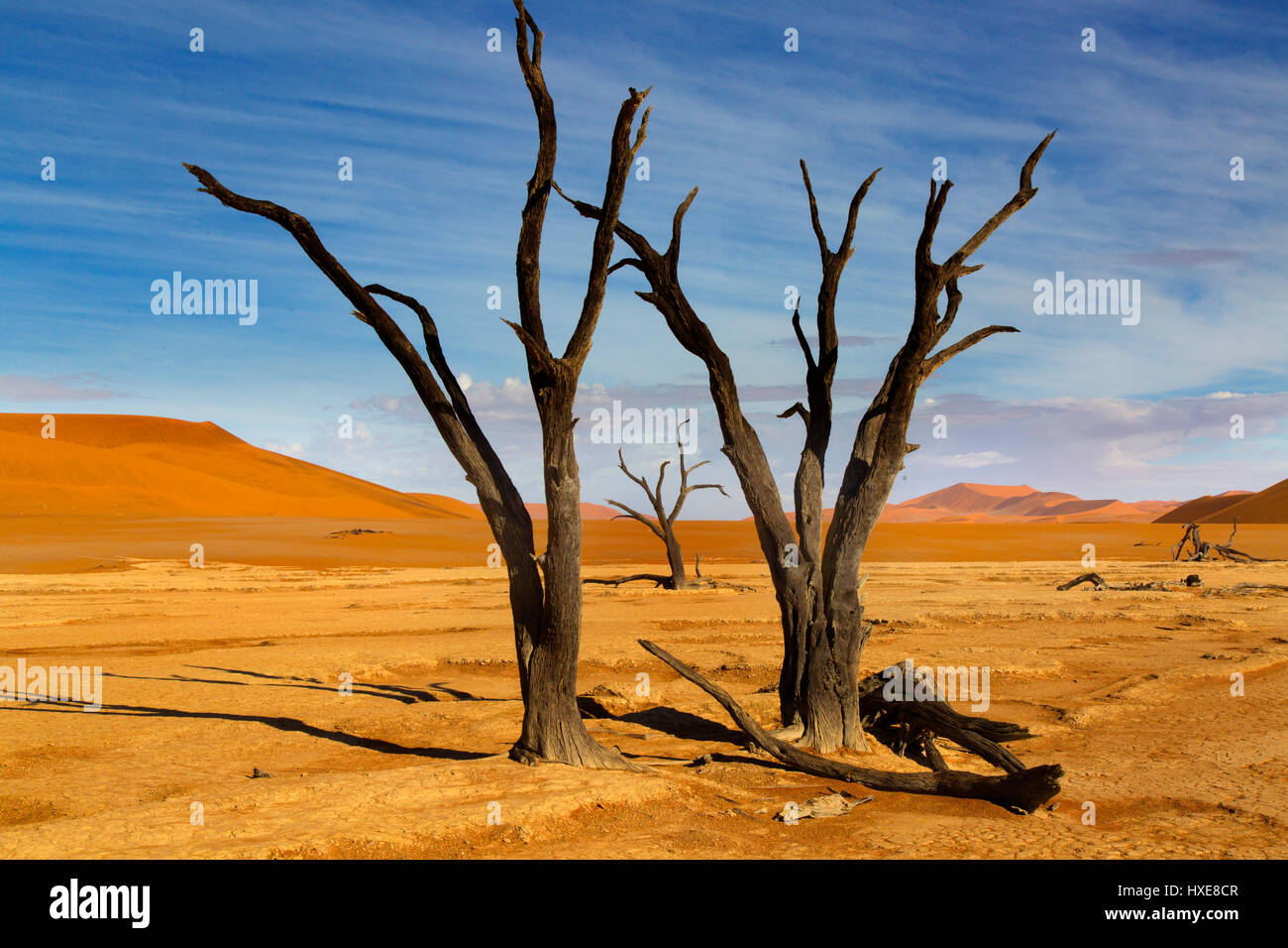 Namid Desert in Sossusvle region Namibia Stock Photo - Alamy