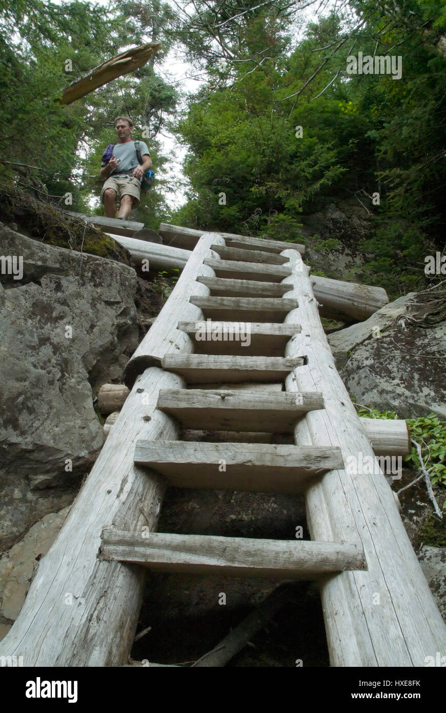 Man made ladder hi-res stock photography and images - Alamy