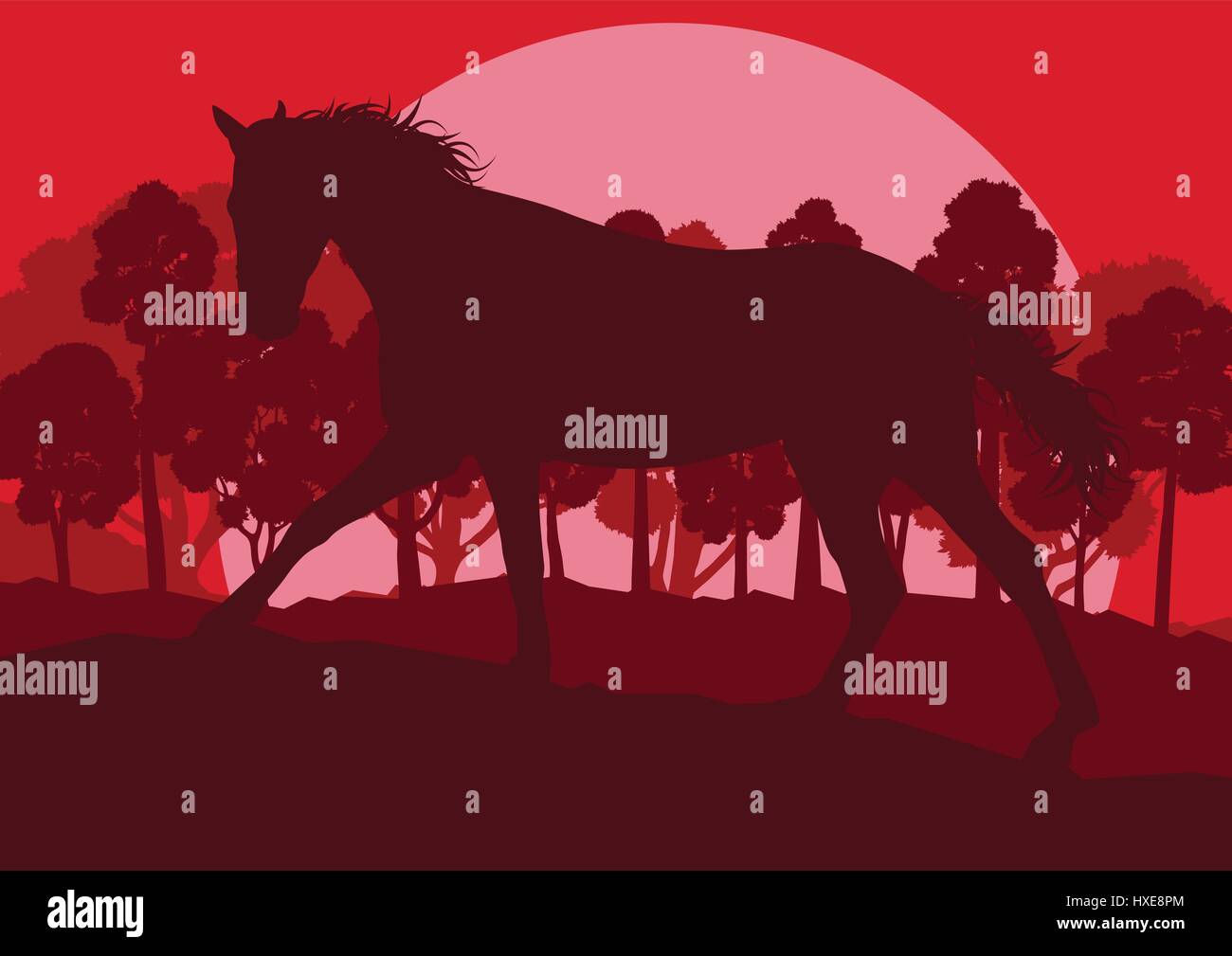 Horse wild forest trees landscape with sunset vector background Stock ...