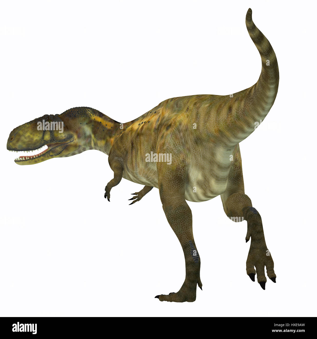 Abelisaurid theropod dinosaur Cut Out Stock Images & Pictures - Alamy