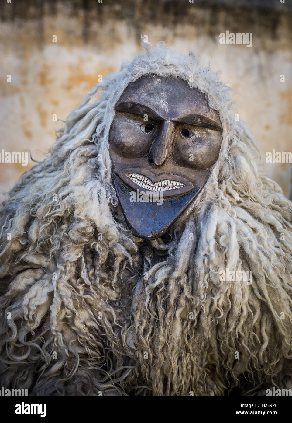 Portrait of a "buso" in a traditional mask, during the annual Buso ...