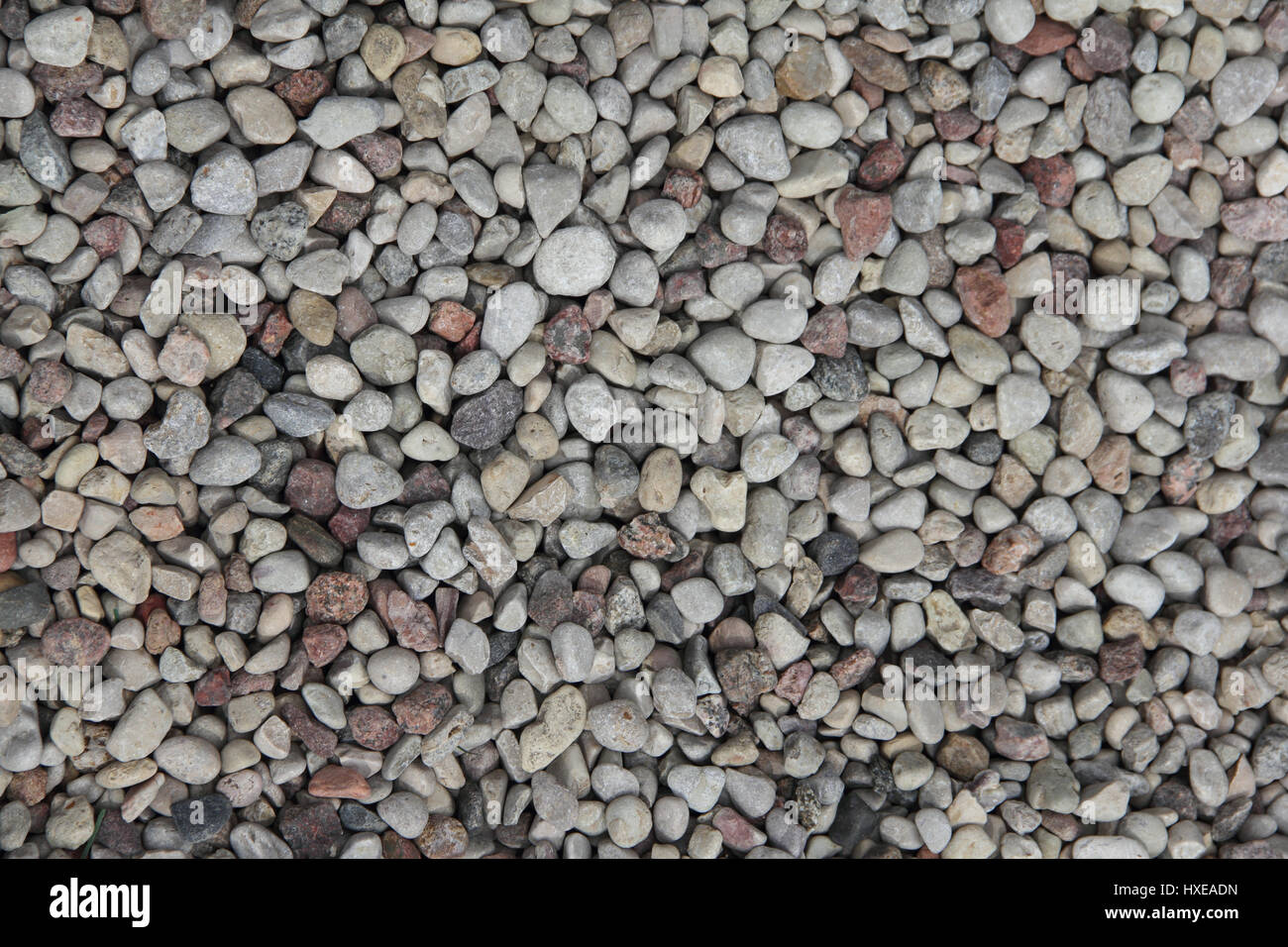 Abstract background with dry round pebble stones on beach Stock Photo ...