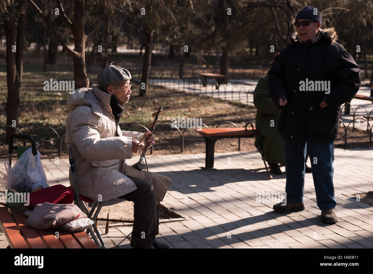 Man playing erhu traditional chinese hi-res stock photography and ...