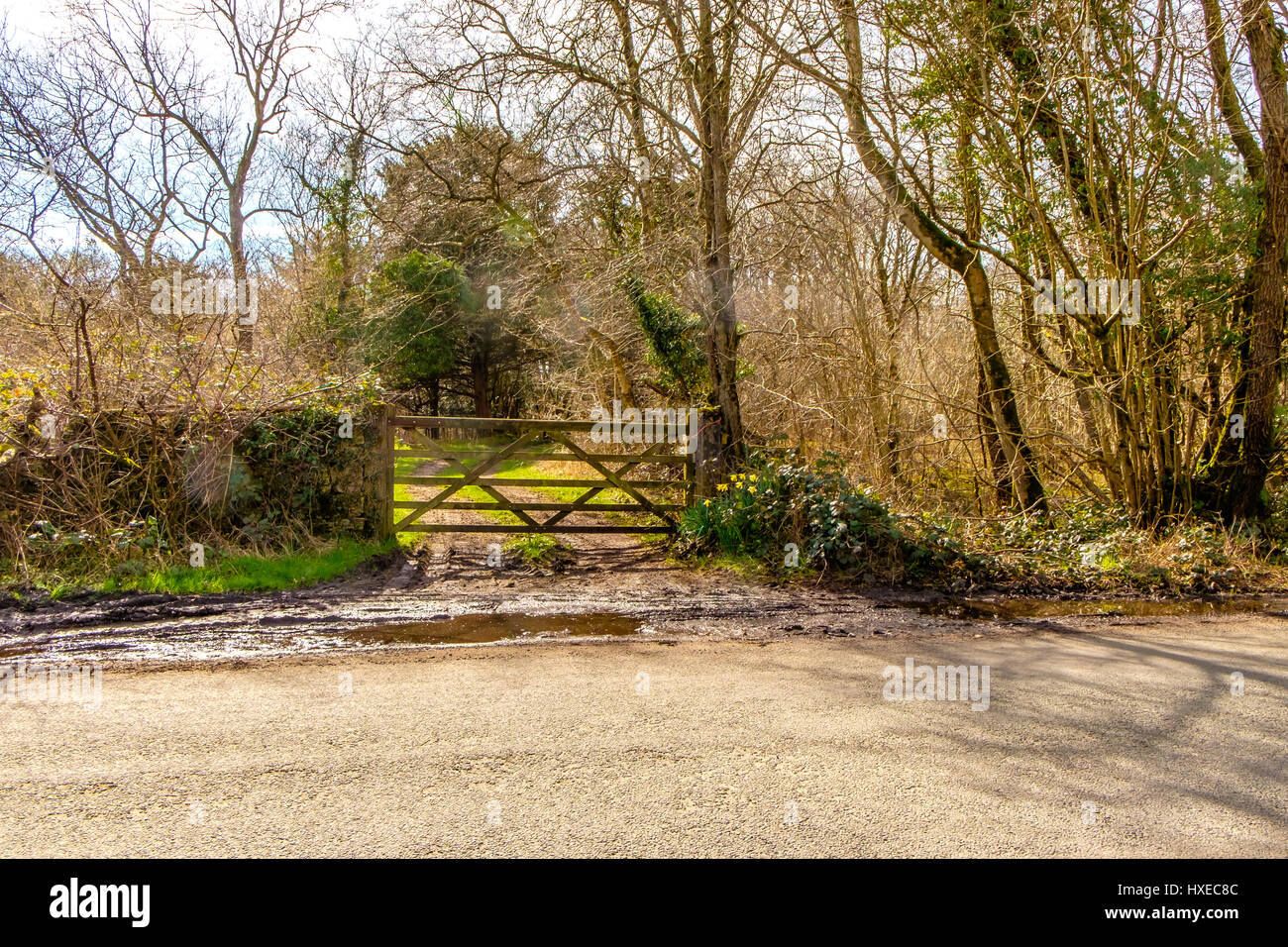View of a farm gate leading into green countryside Stock Photo - Alamy