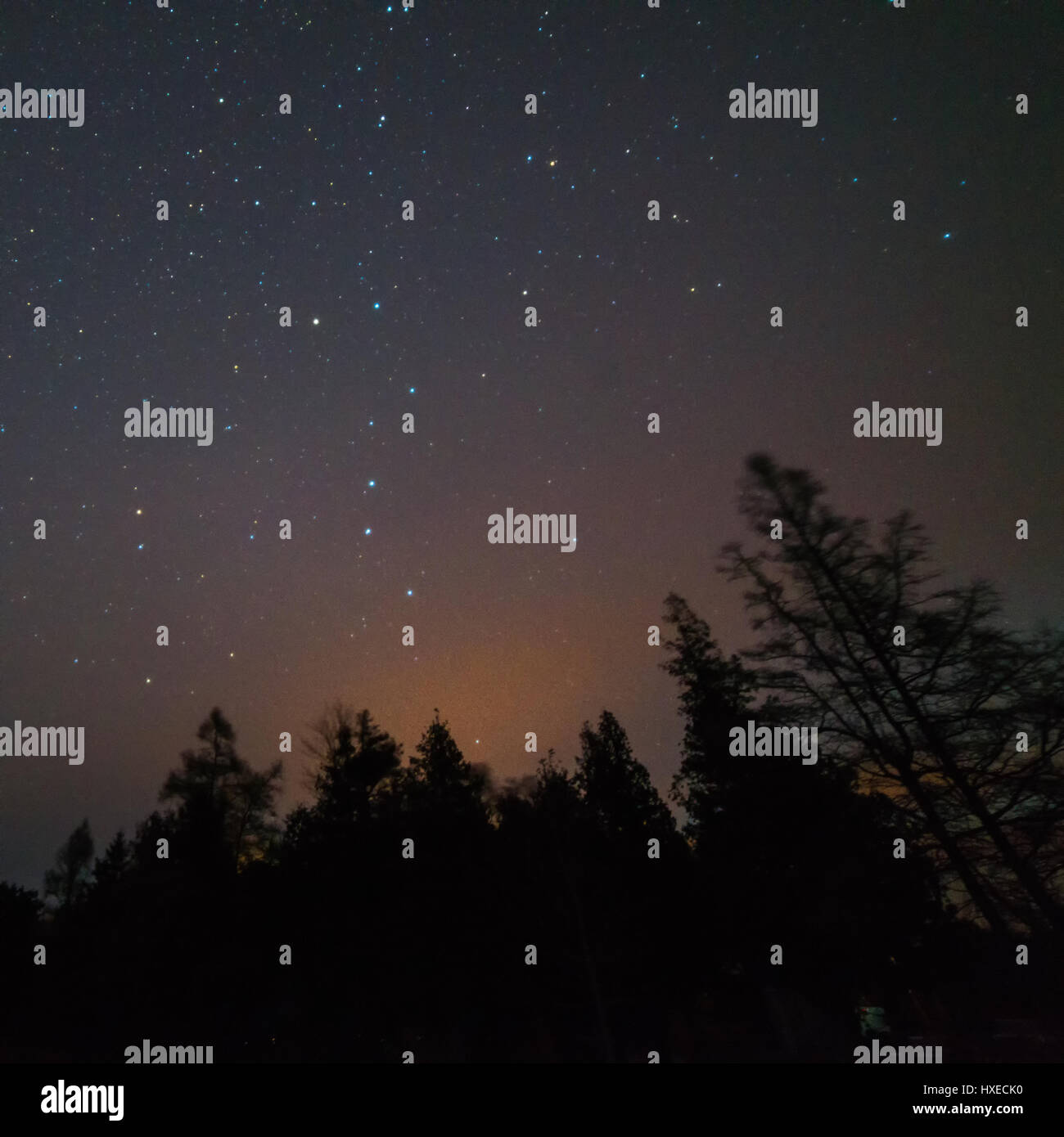 Night sky photo backdrop hi-res stock photography and images - Alamy