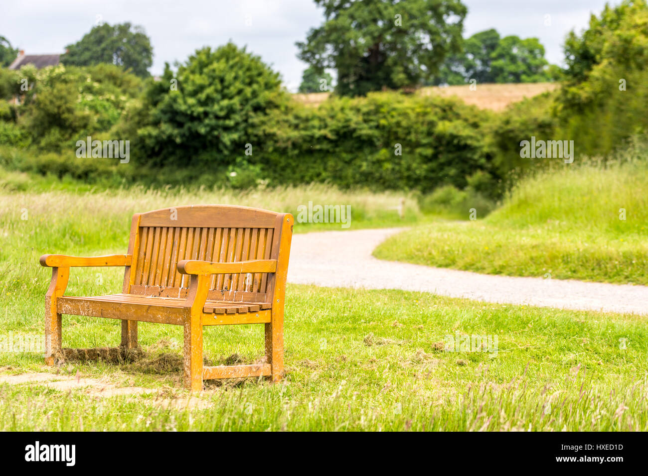 Bench in the park on footpath background Stock Photo - Alamy