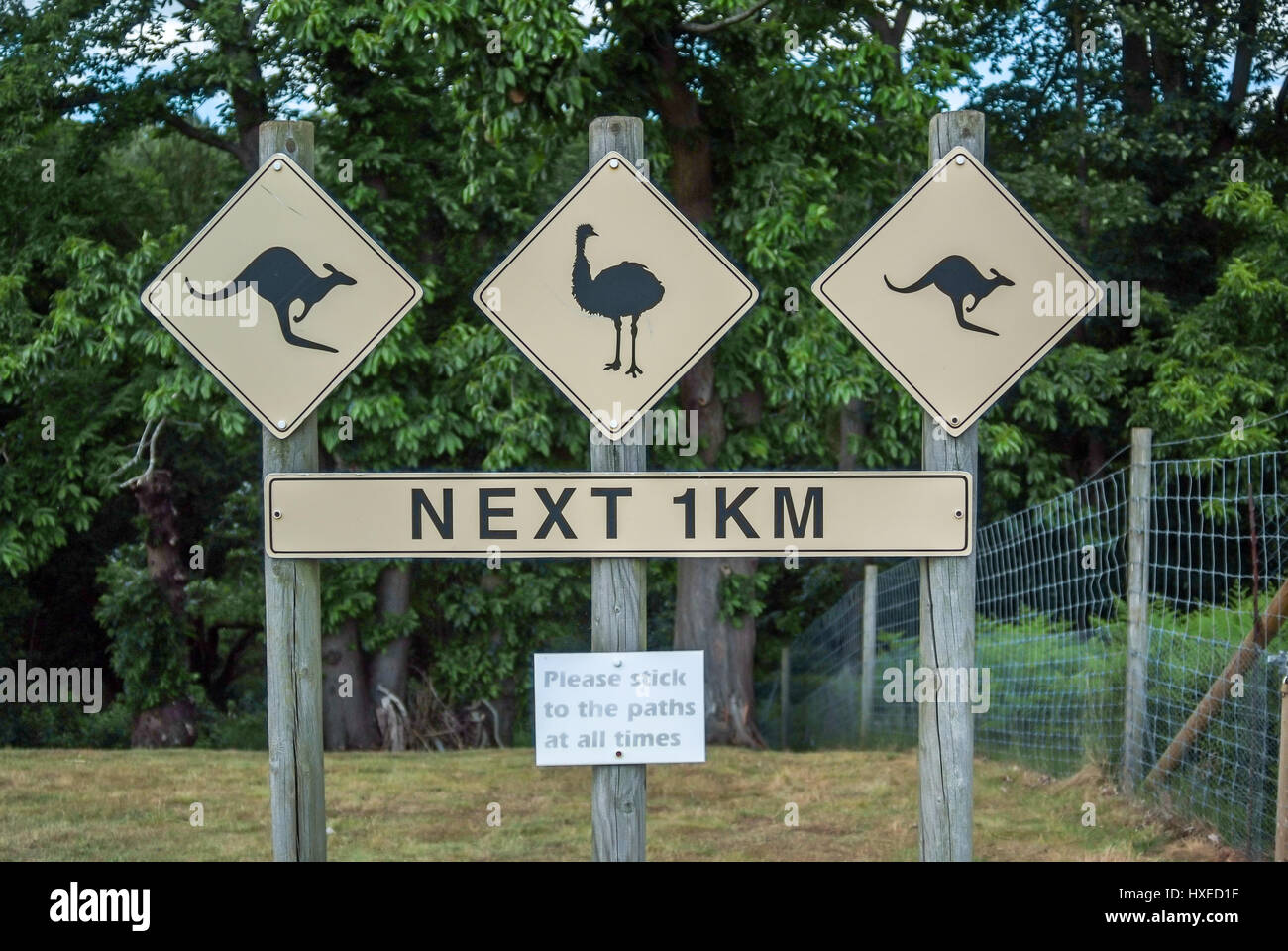Directional sign pole at Zoo for Kangaroo and Ostrich Stock Photo - Alamy