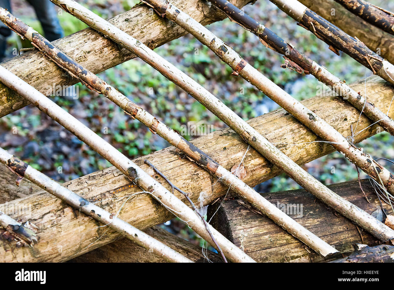 Natural background - a fence made of logs of pine. Rough raw thin pine ...