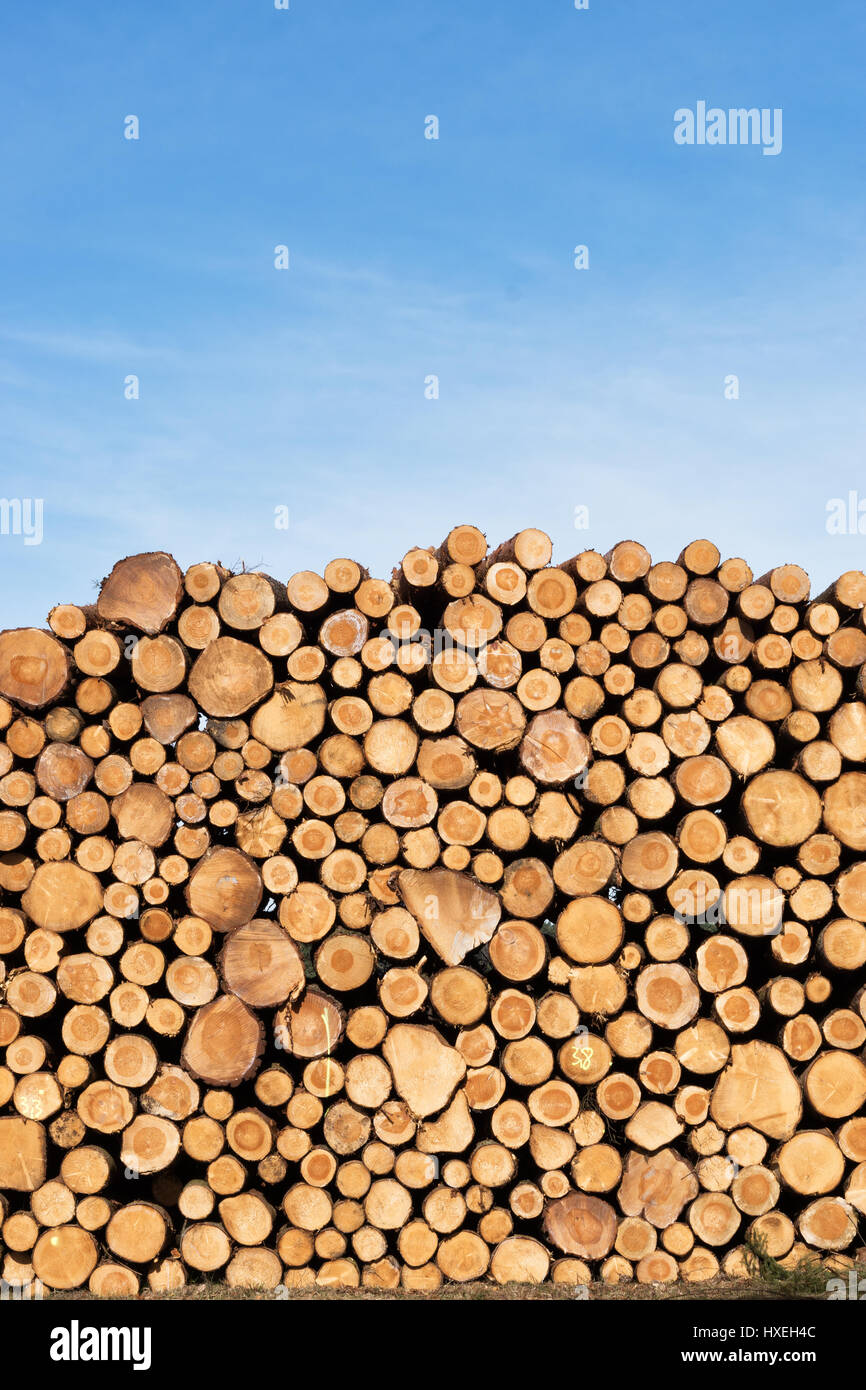 Photo of a stack of natural wooden logs Stock Photo - Alamy