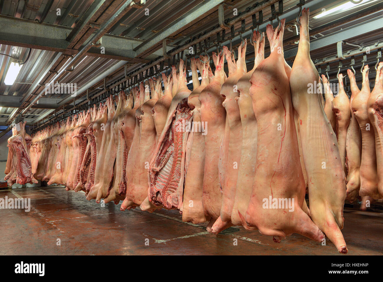 Coldstore High Resolution Stock Photography and Images - Alamy