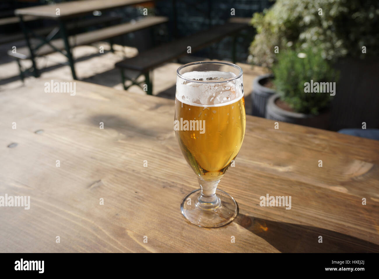 Summer beer garden background hi-res stock photography and images - Alamy