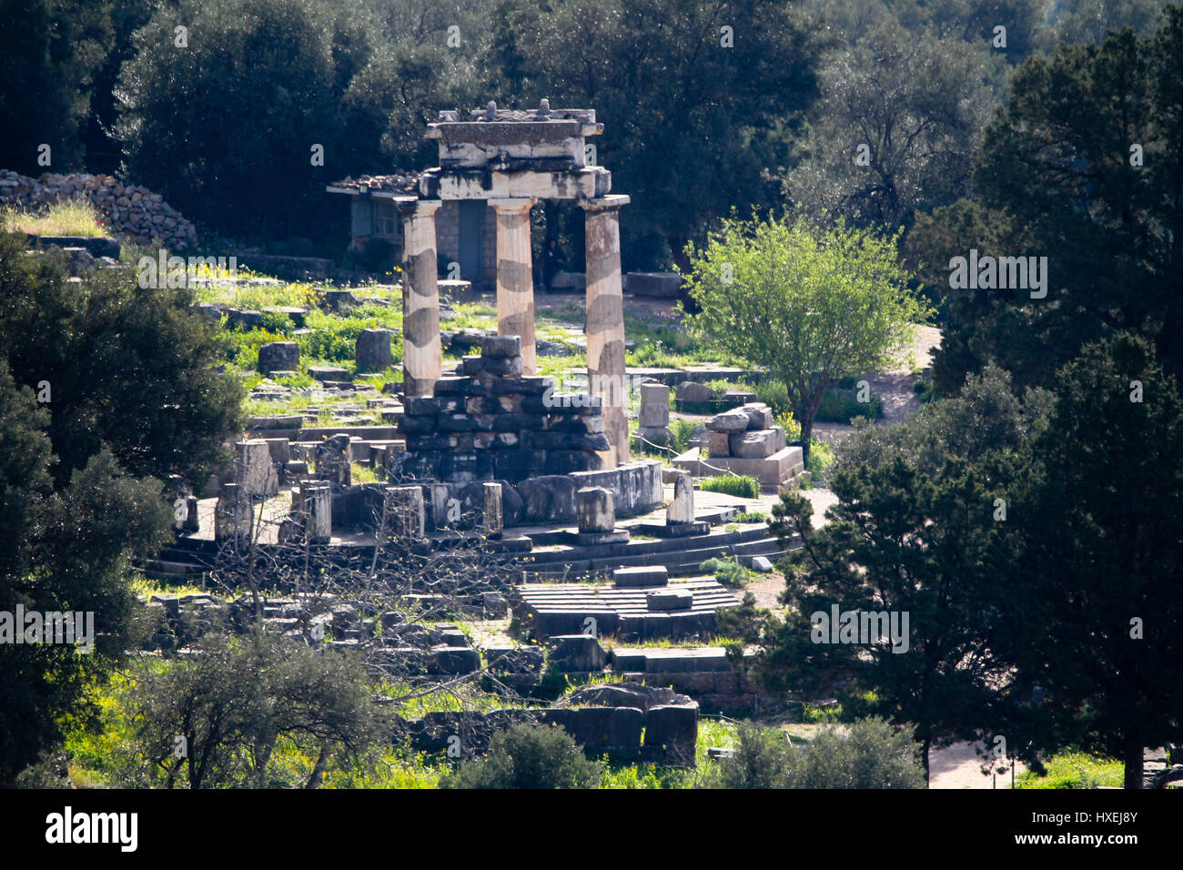 The Tholos at the sanctuary of Athena Pronaia, a circular building with ...