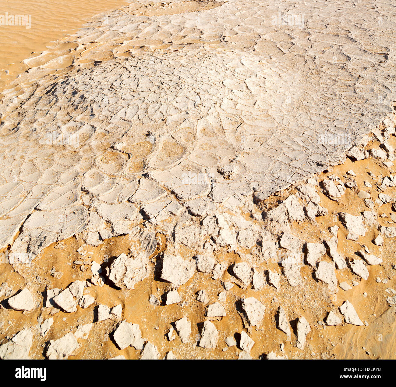 the empty quarter and outdoor sand dune in oman old desert rub al khali ...