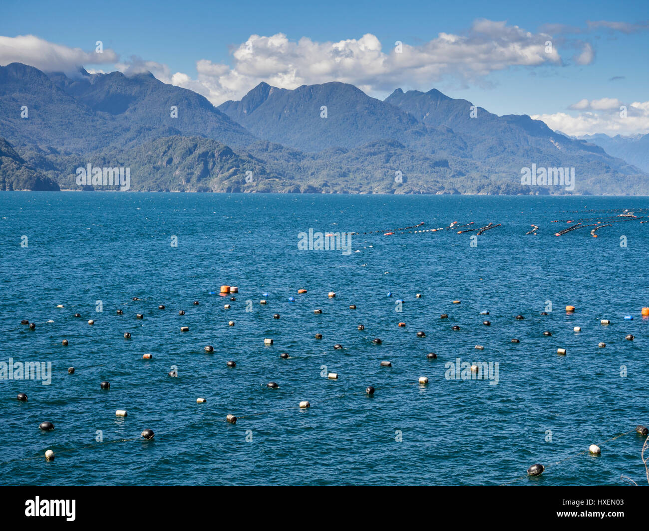 Salmon Fish Farm In Chile High Resolution Stock Photography and Images ...