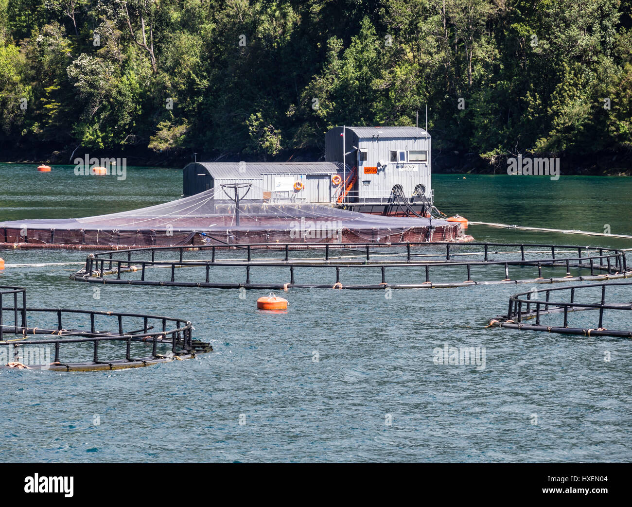 Salmon fish farm in chile hi-res stock photography and images - Alamy