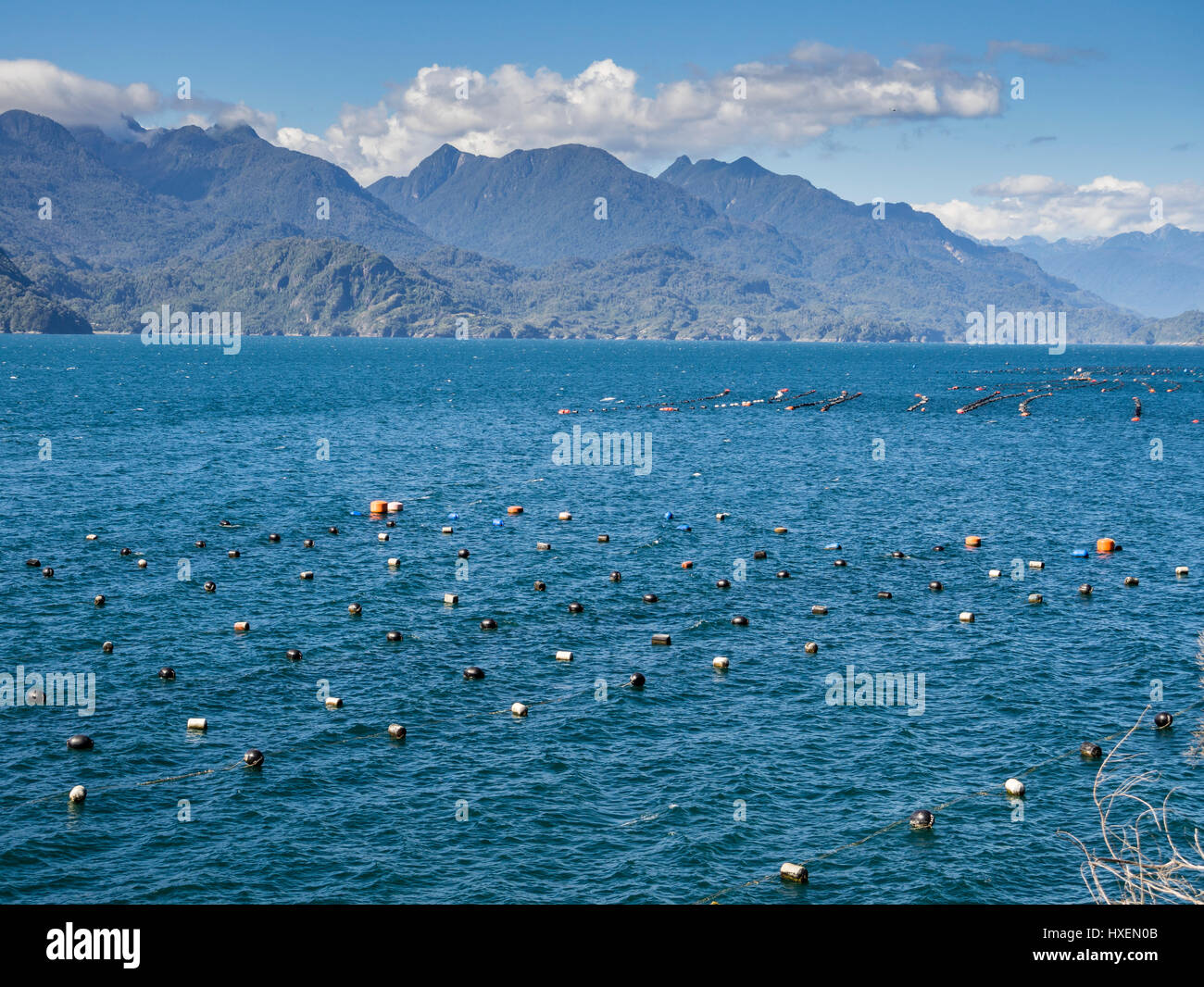 Aquaculture fish farming hi-res stock photography and images - Alamy