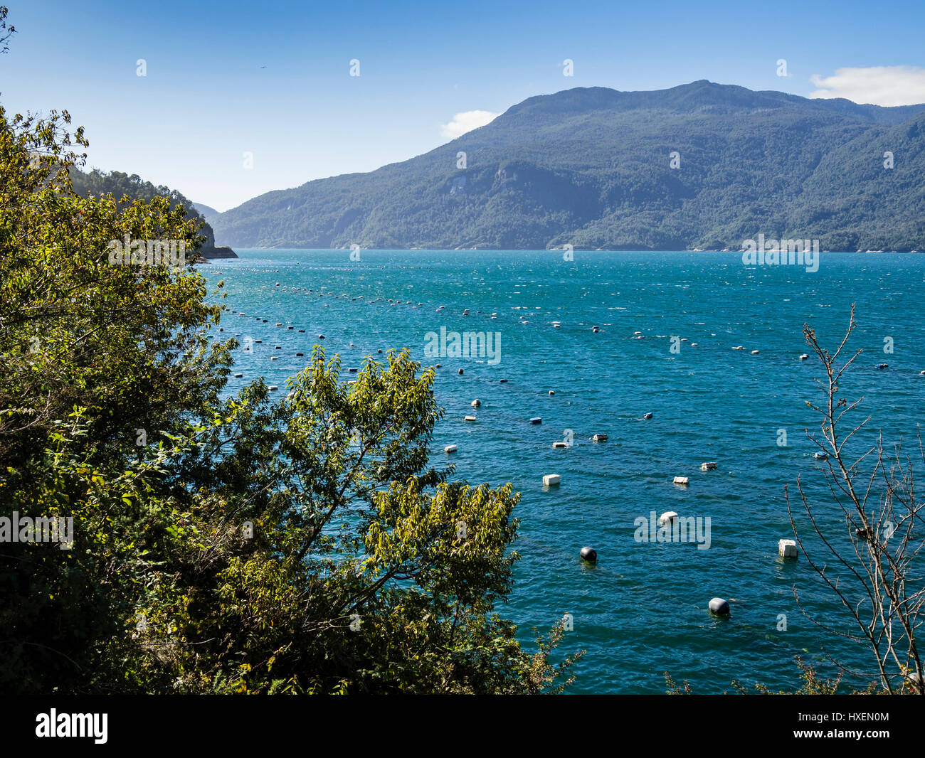 Fish farm aquaculture hi-res stock photography and images - Alamy