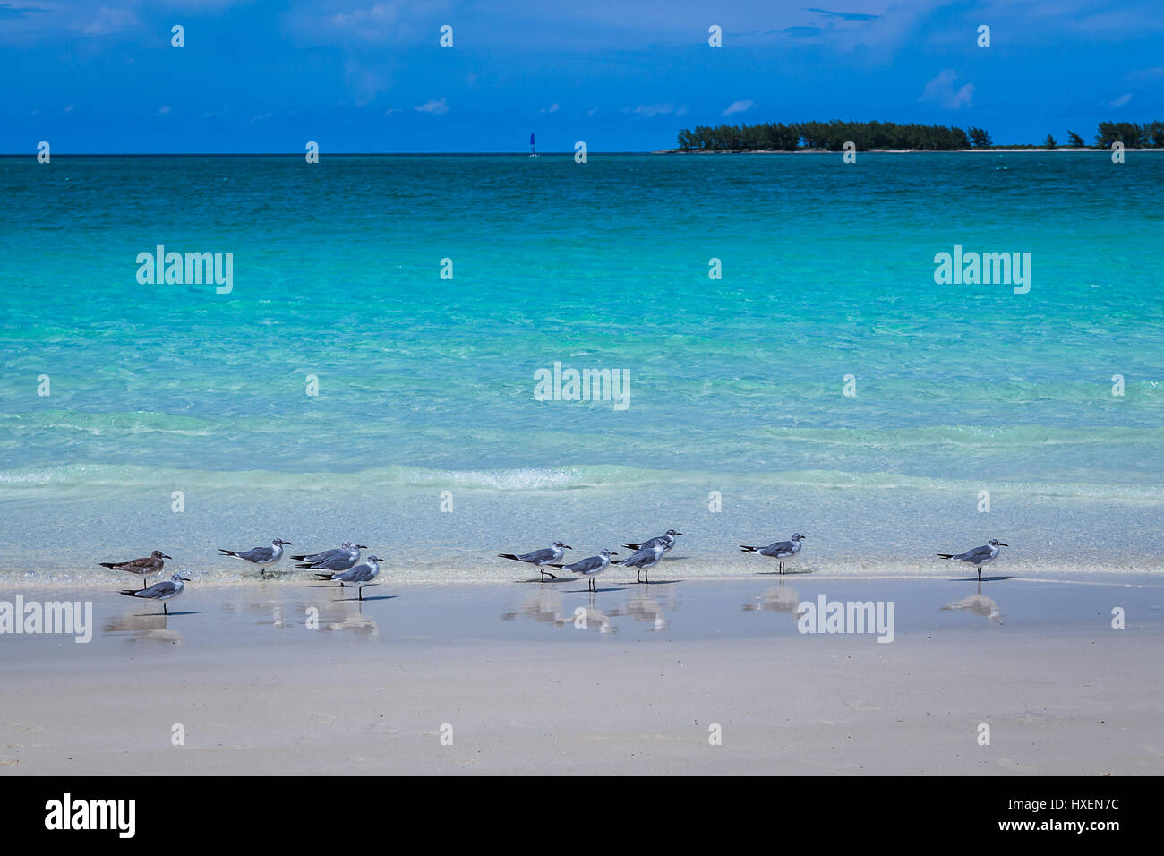 Cayo coco playa pilar hi-res stock photography and images - Alamy