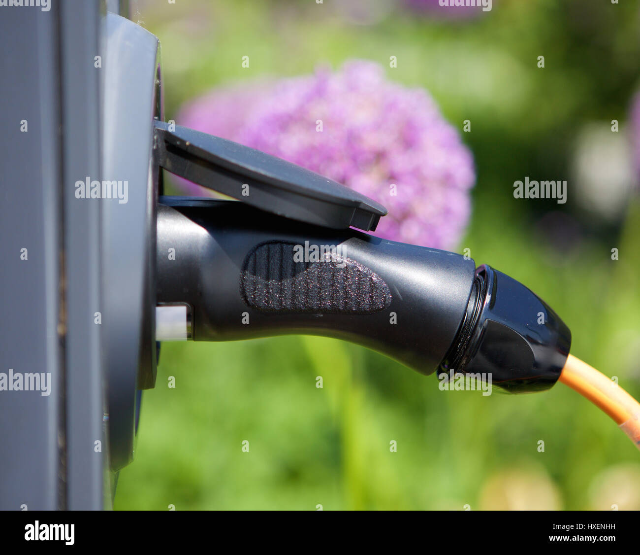 Electricity supply plug and socket for hybrid car Stock Photo - Alamy