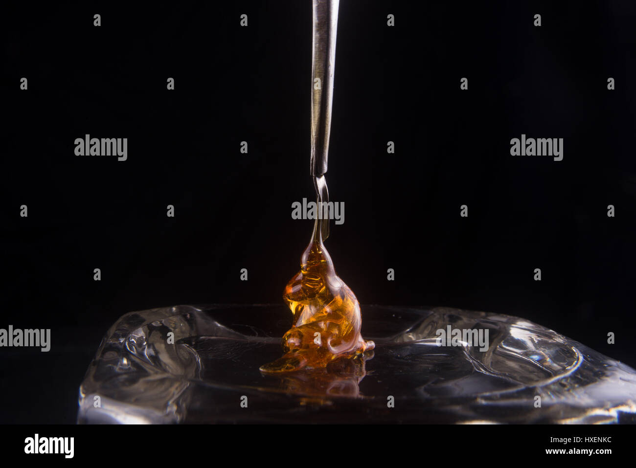 Melted cannabis oil concentrate aka shatter held on a dabbing tool over ...