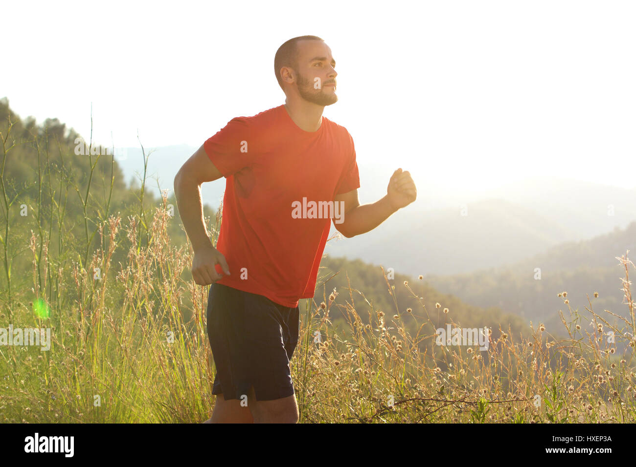 Portrait of a healthy sports man jogging outdoors in nature Stock Photo ...