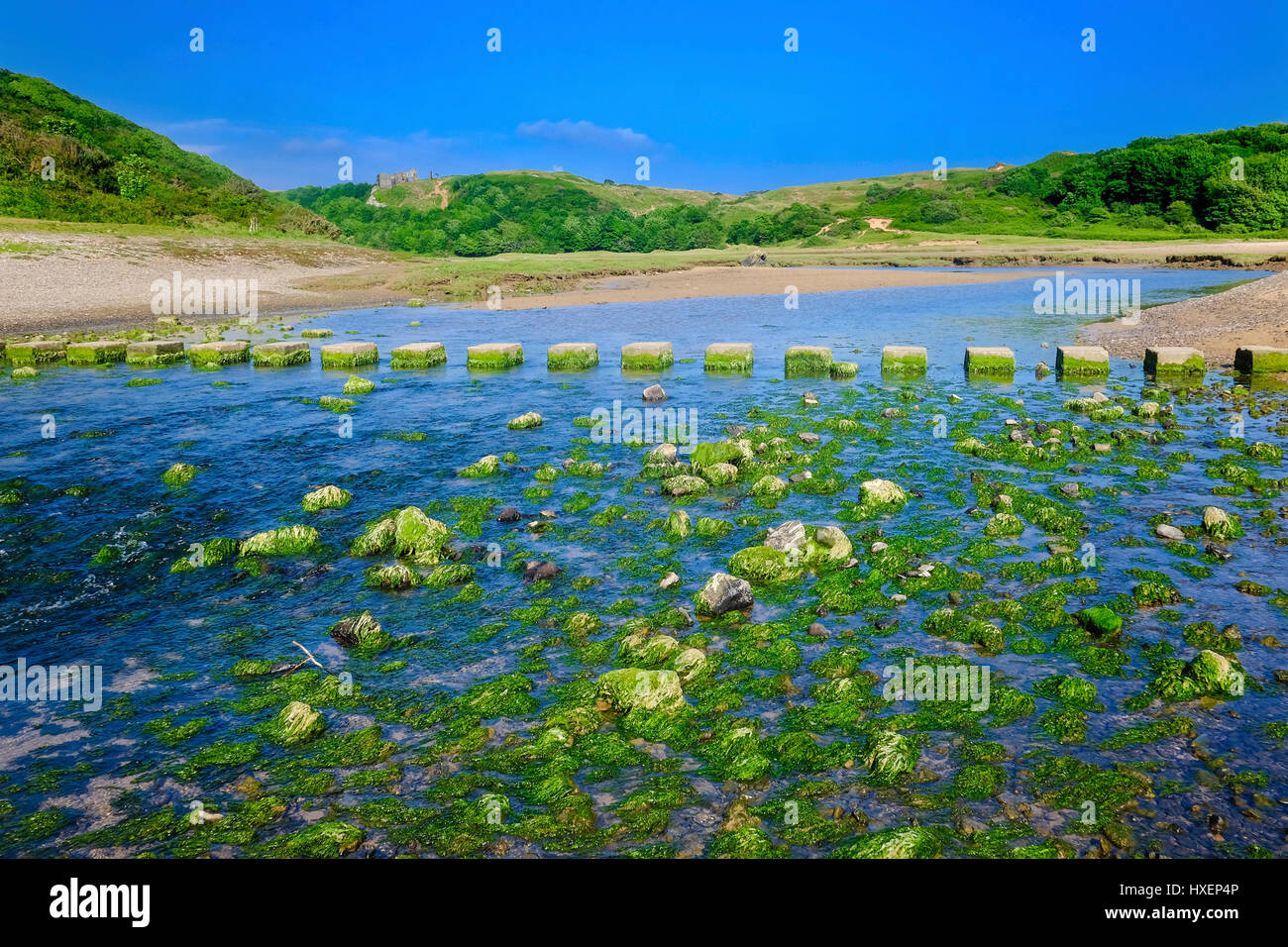 Gower peninsula castle hi-res stock photography and images - Alamy