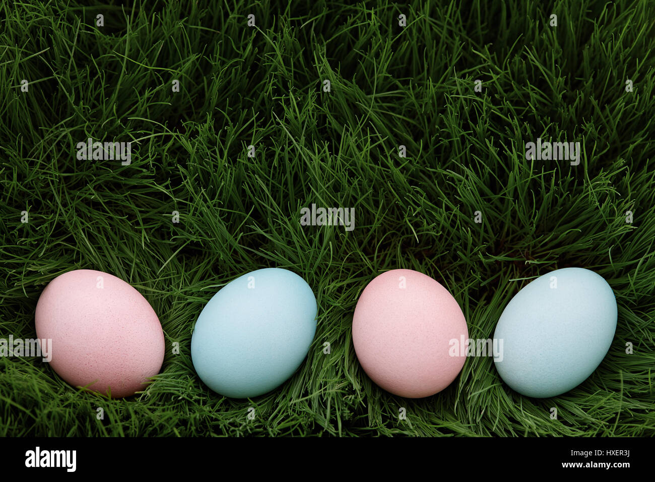 Easter eggs in grass Stock Photo - Alamy