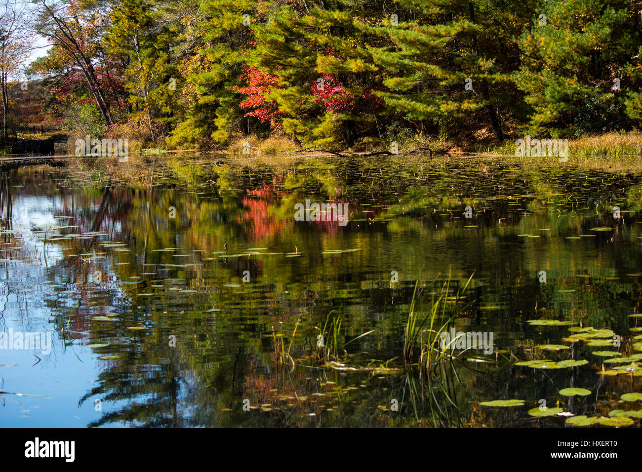 Pocono mountain lake hi-res stock photography and images - Alamy