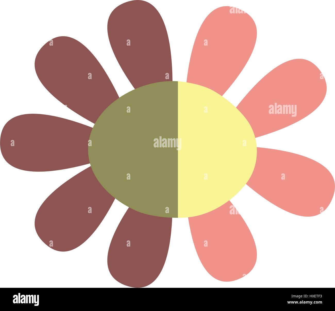 beautiful flower with oval petals Stock Vector Image & Art - Alamy